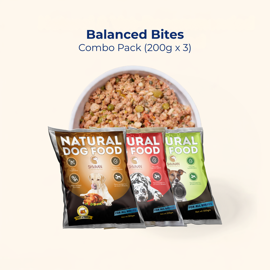 Balanced Bites – Easy Starter Combo (3 x 200 g) | Fresh Human-Grade Wet ...