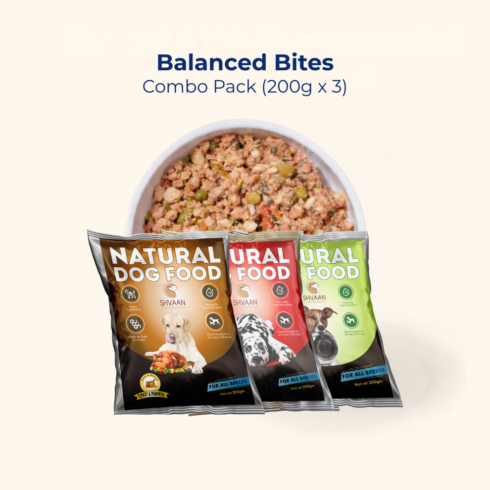 Balanced Bites – Easy Starter Combo (3 x 200 g) | Fresh Human-Grade Wet ...