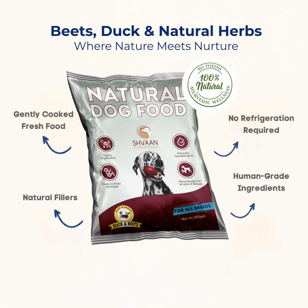 Duck and Beet Wet Dog Food 200 g | Rich Human-Grade Meal | Shvaan Foods